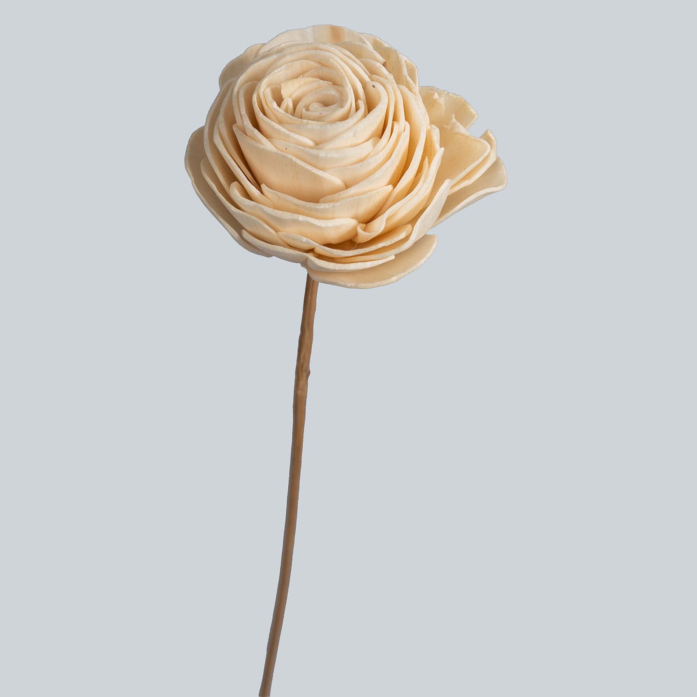 Rose Ivory Sola Wood Flowers | Handmade Wedding Flowers