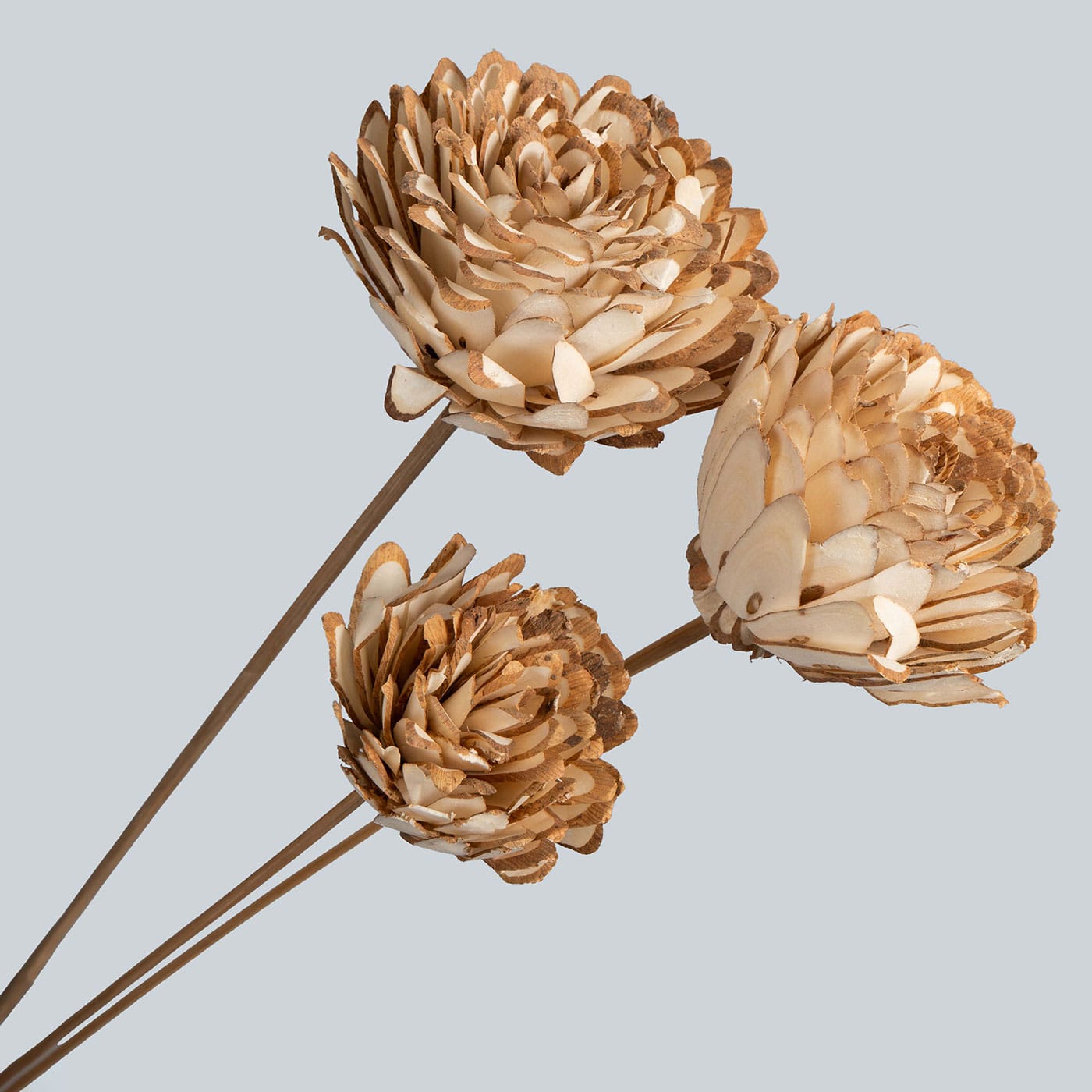 Gardenia Ivory Sola Wood Flowers | Handmade Wedding Decor